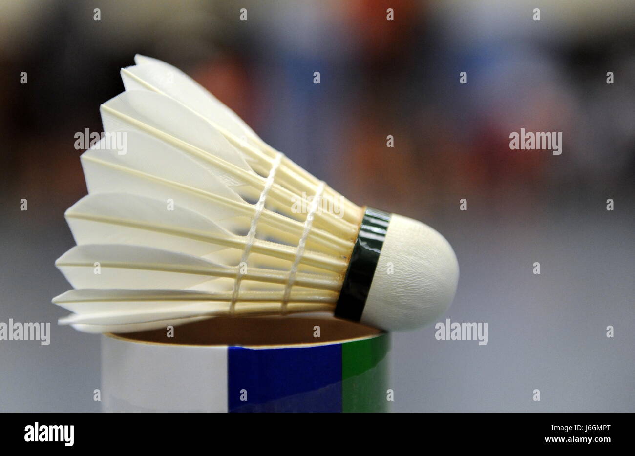 Badminton hall hi-res stock photography and images - Alamy