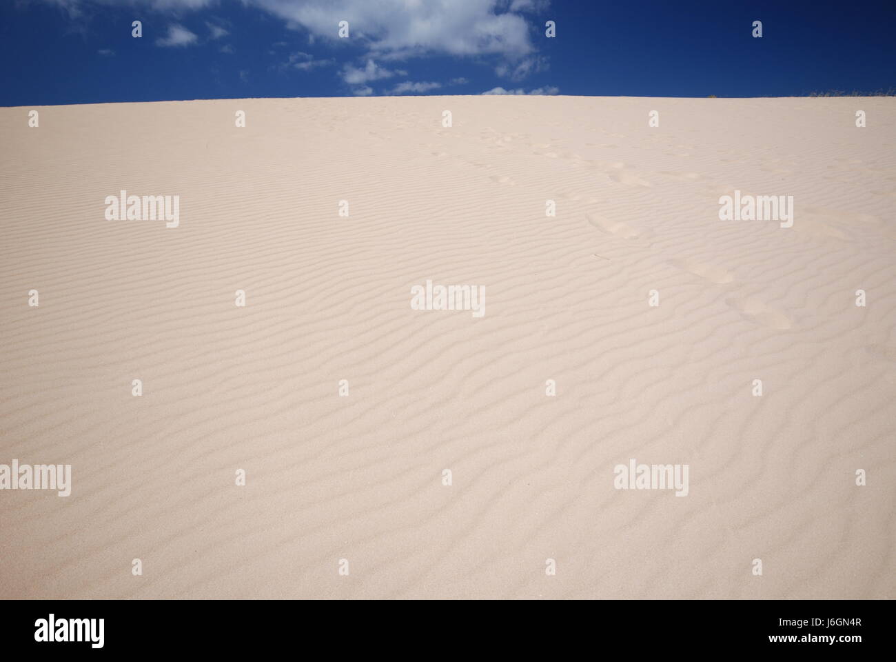 desert wasteland dene sands sand shine shines bright lucent light ...
