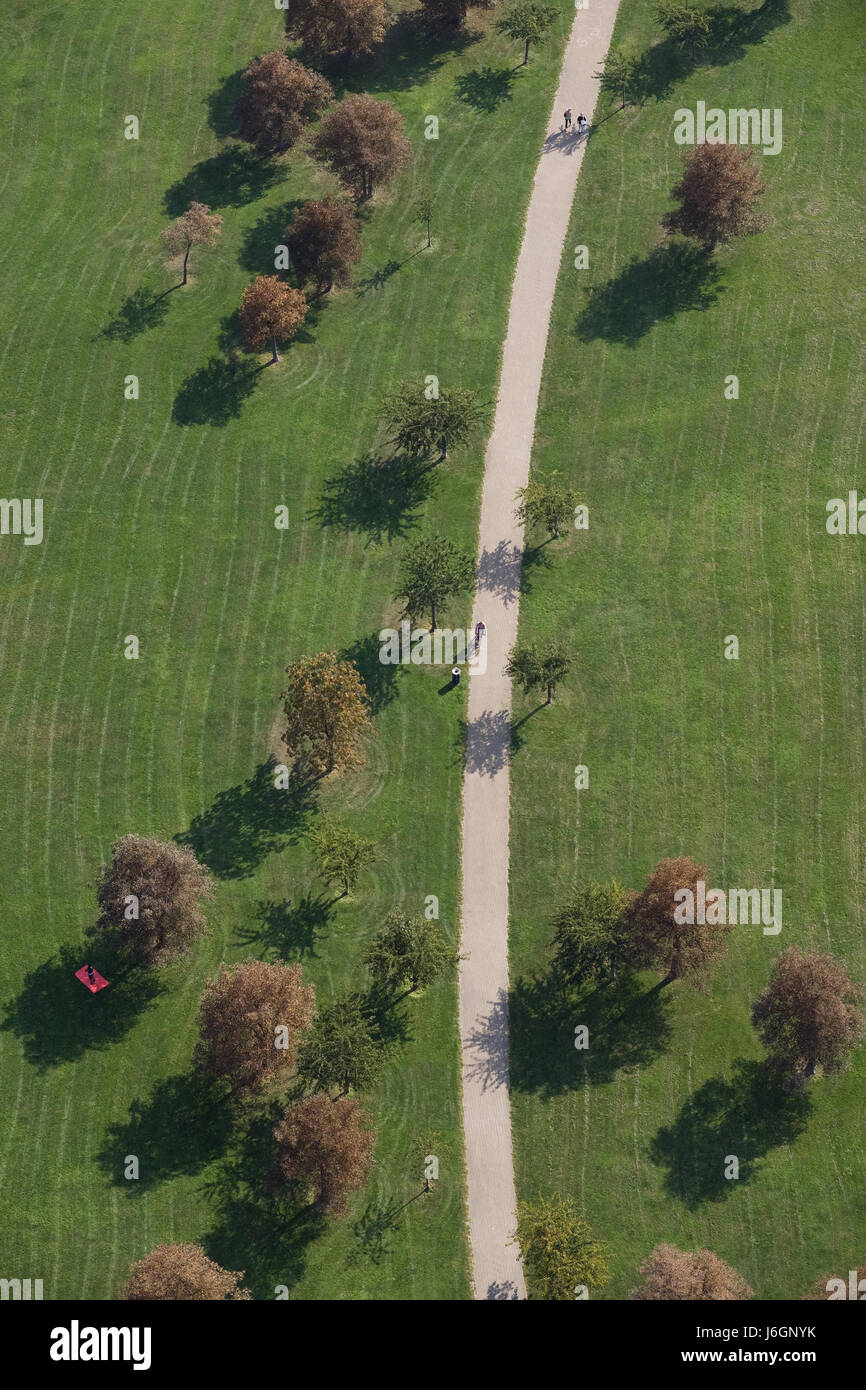 humans human beings people folk persons human human being tree trees ...