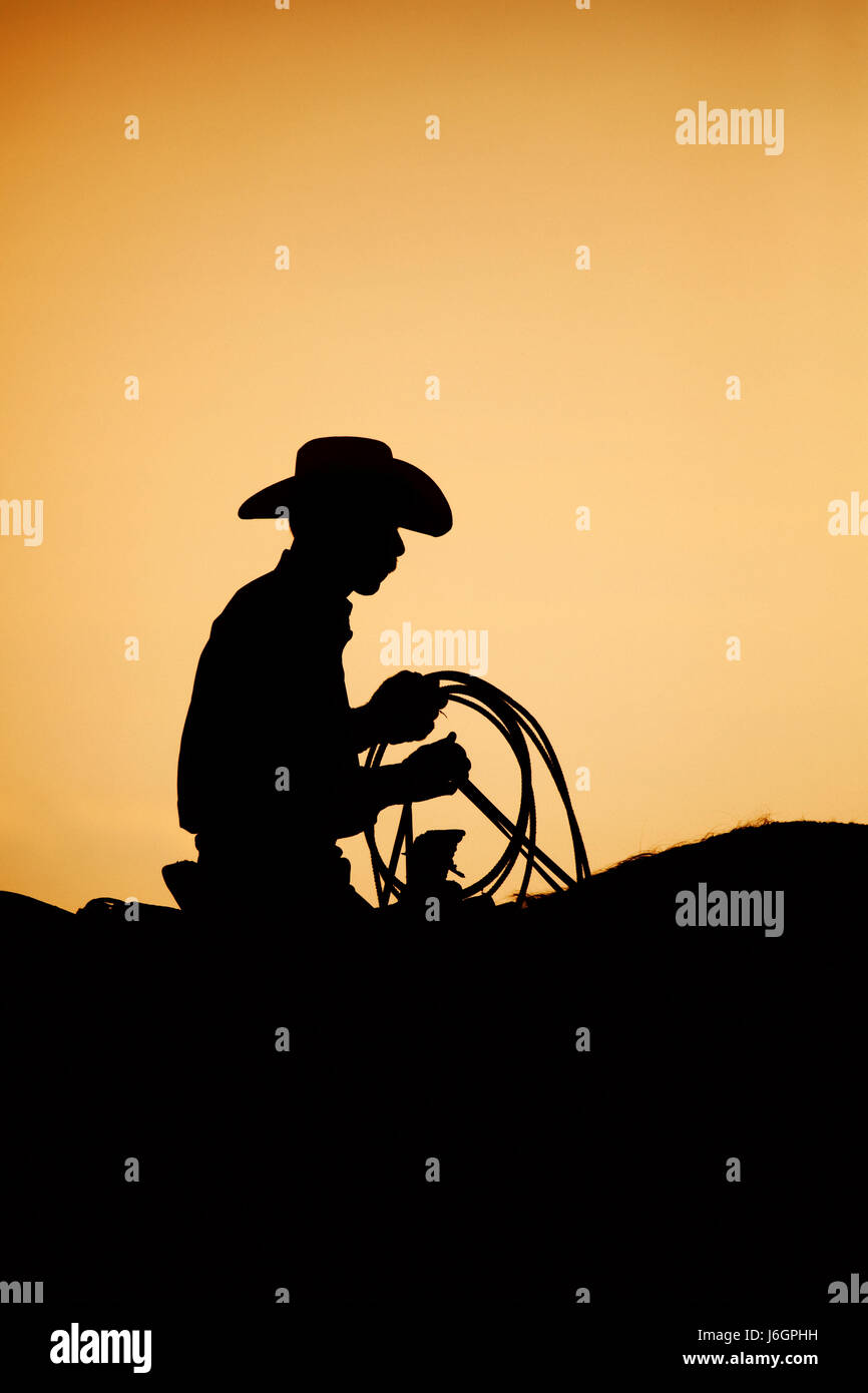 culture sunset america cowboy rodeo lasso man humans human beings ...