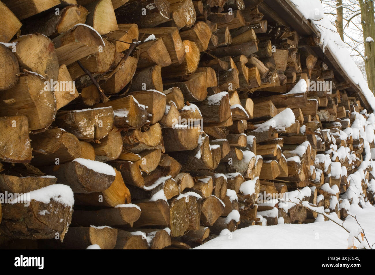 wood stack firewood forestry wood stack fuel heat firewood wayside ...