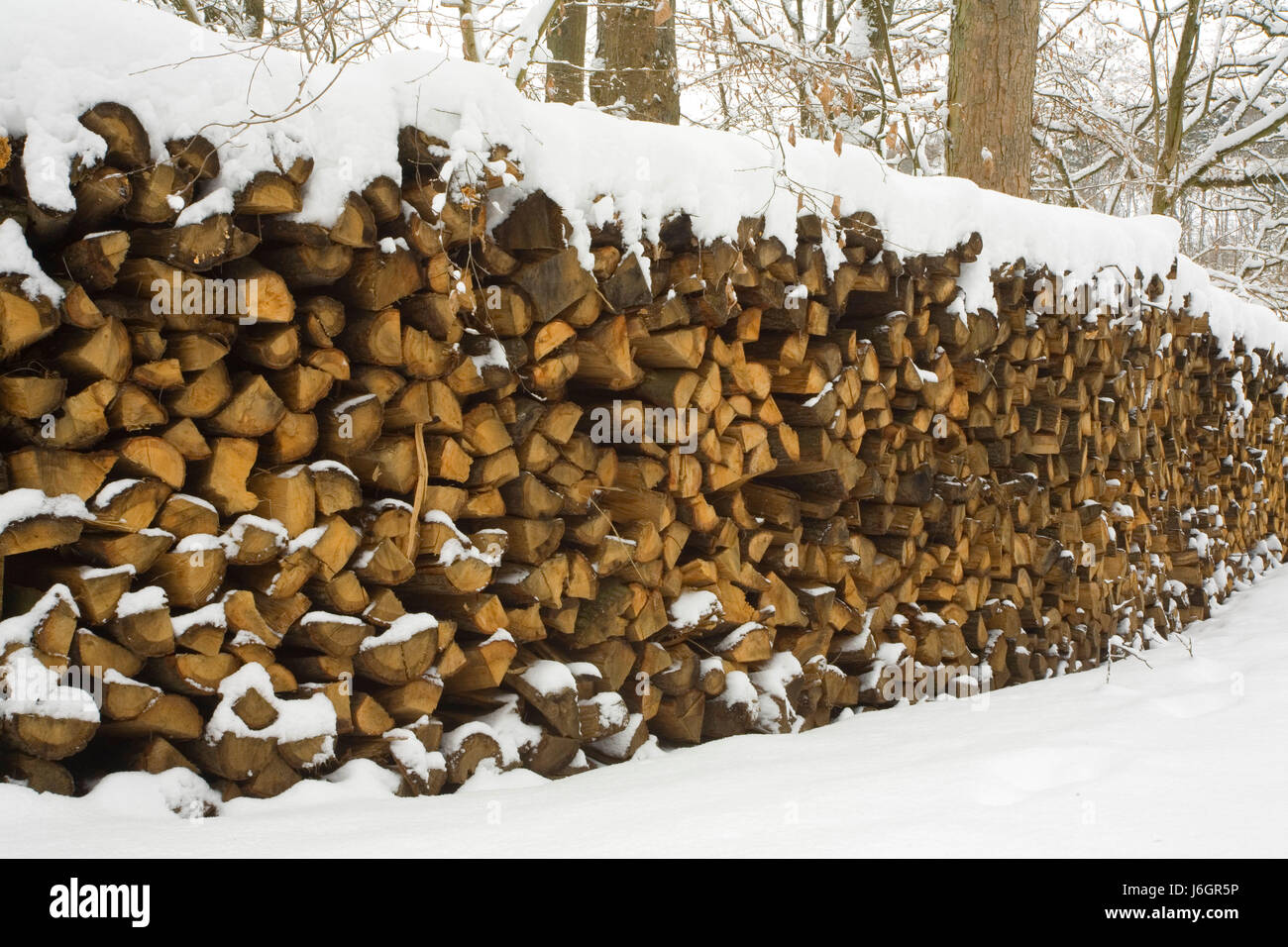 wood stack firewood forestry wood stack fuel heat firewood wayside ...