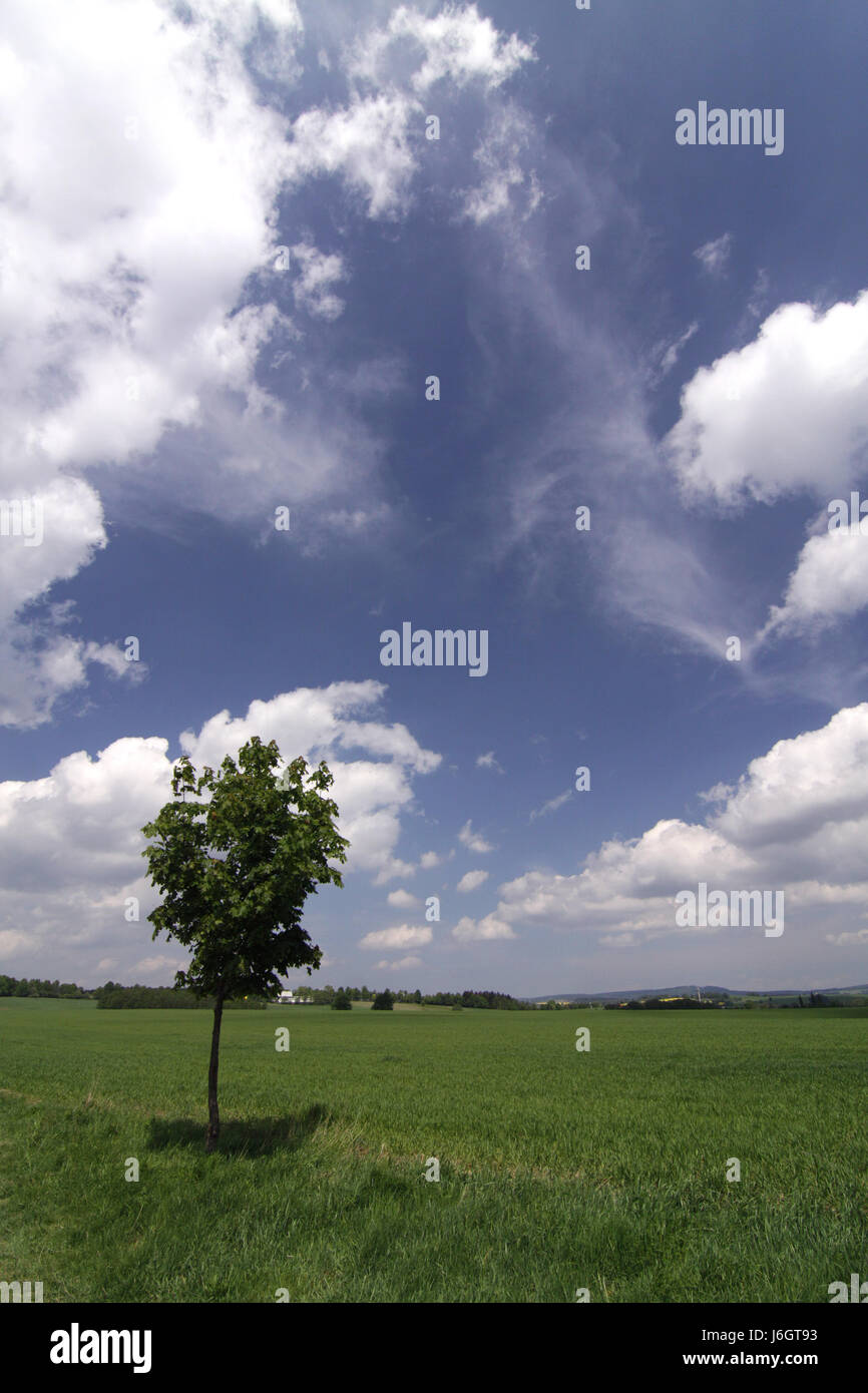 tree landscape scenery countryside nature clouds firmament sky tree ...