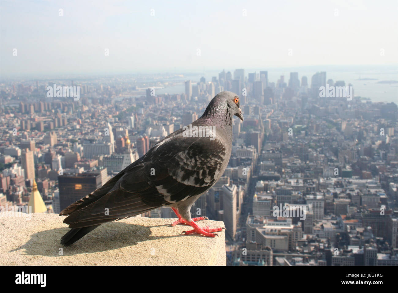 sight view outlook perspective vista panorama lookout pigeon house ...