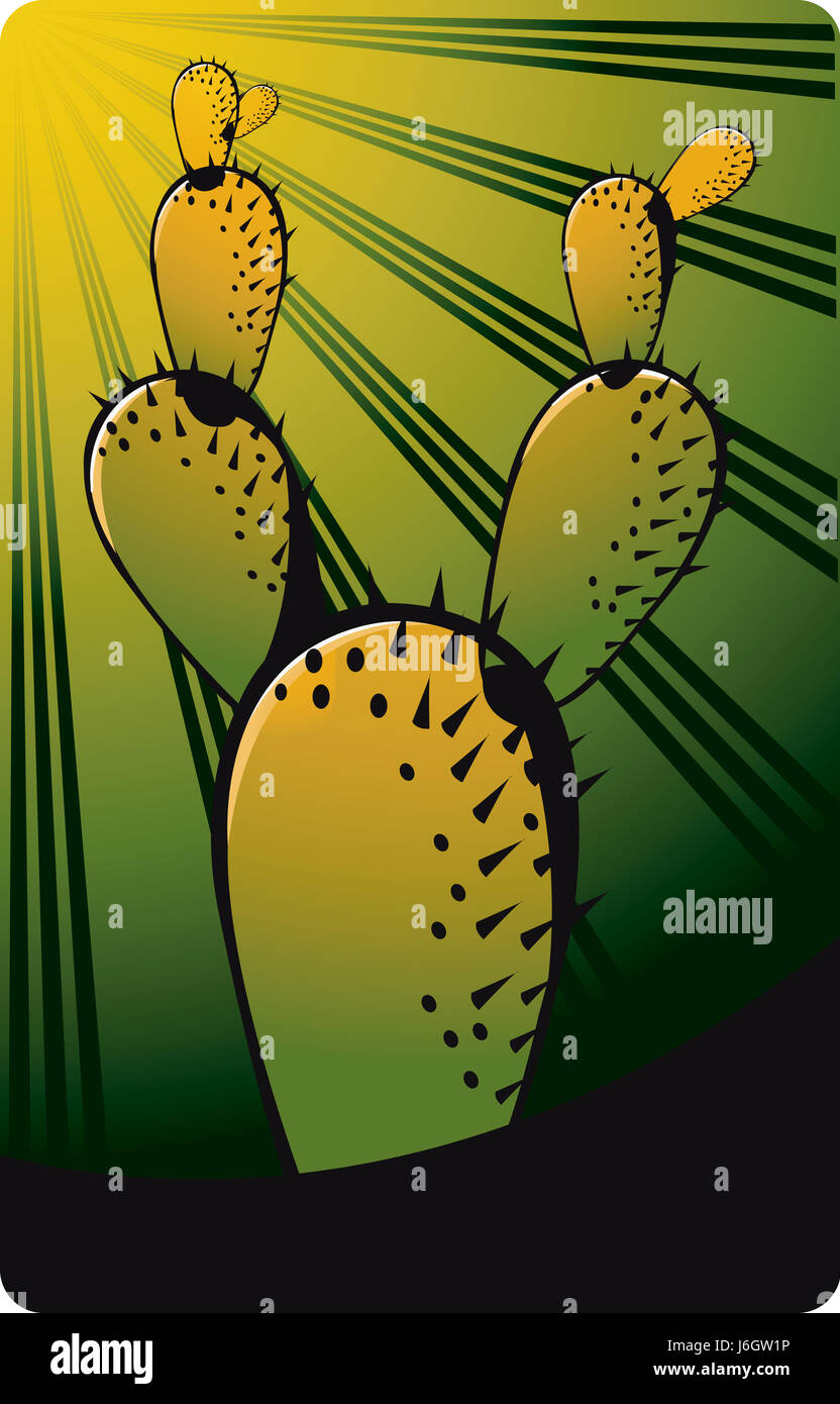 wild cactus water nature leaf desert wasteland ground soil earth humus ...