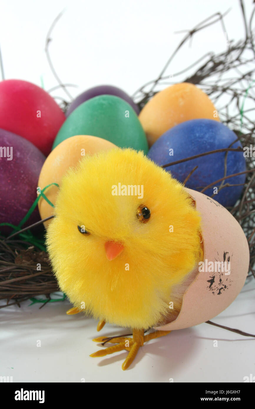 easter egg chick Easter eggs blue colour animal bird birds easter ...