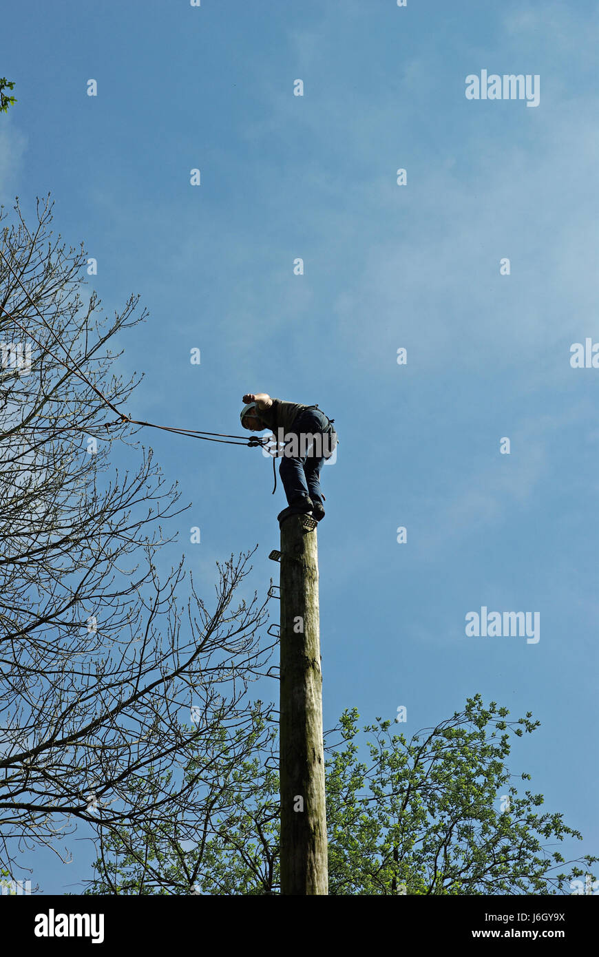 erecting on the pamper pole Stock Photo - Alamy