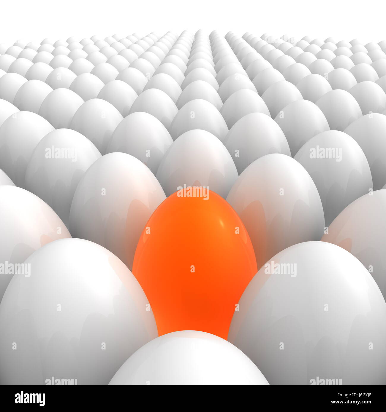 single field one translucent eggs array orange white food aliment ...