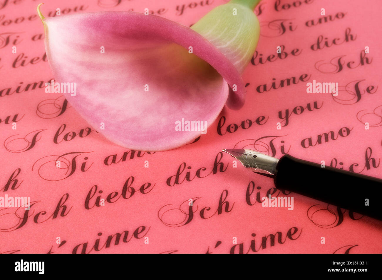 flower plant letter romance pink pen style pencil write wrote writing ...