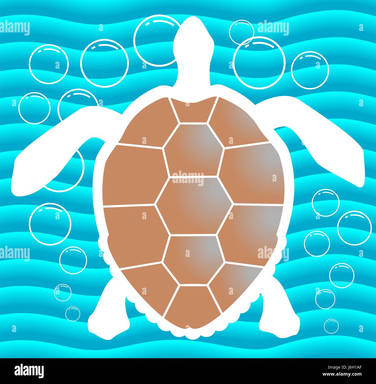 amphibian shell turtle tortoise navy marine salt water sea ocean water ...