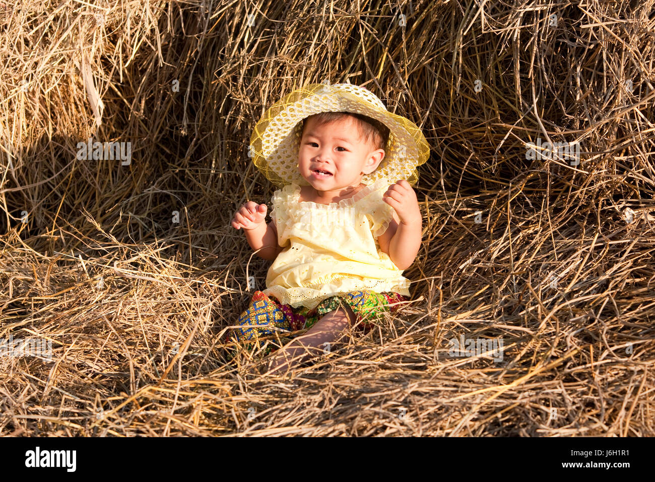 baby of asia in the hay Stock Photo - Alamy