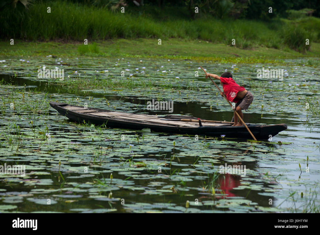 A little gypsy boy steering a country boat at a swamp at Pubail in ...