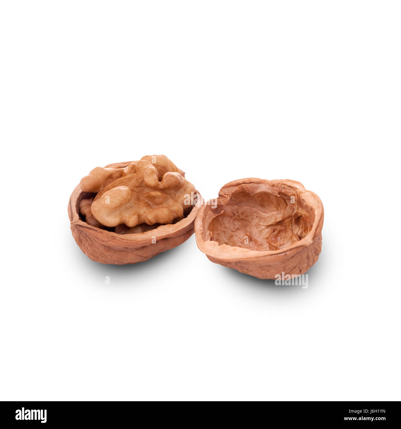 isolated open walnut nutshell uncap fissured cracked food aliment macro ...