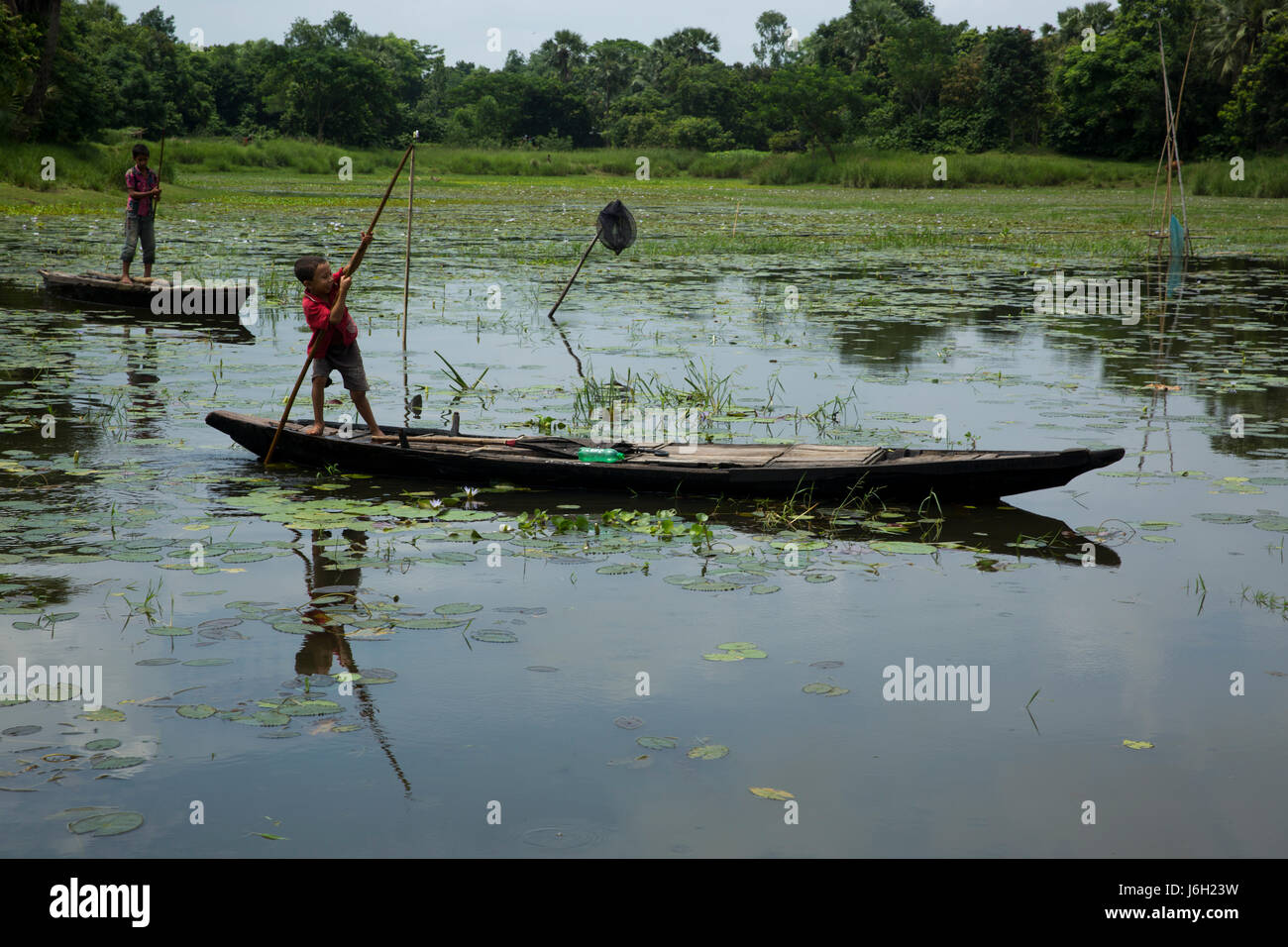 Little gypsy boys steering country boats at a swamp at Pubail in ...
