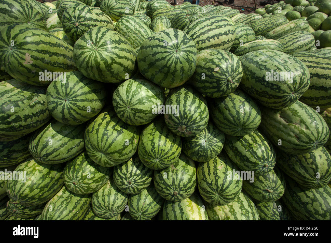Watermelon, green river hi-res stock photography and images - Alamy