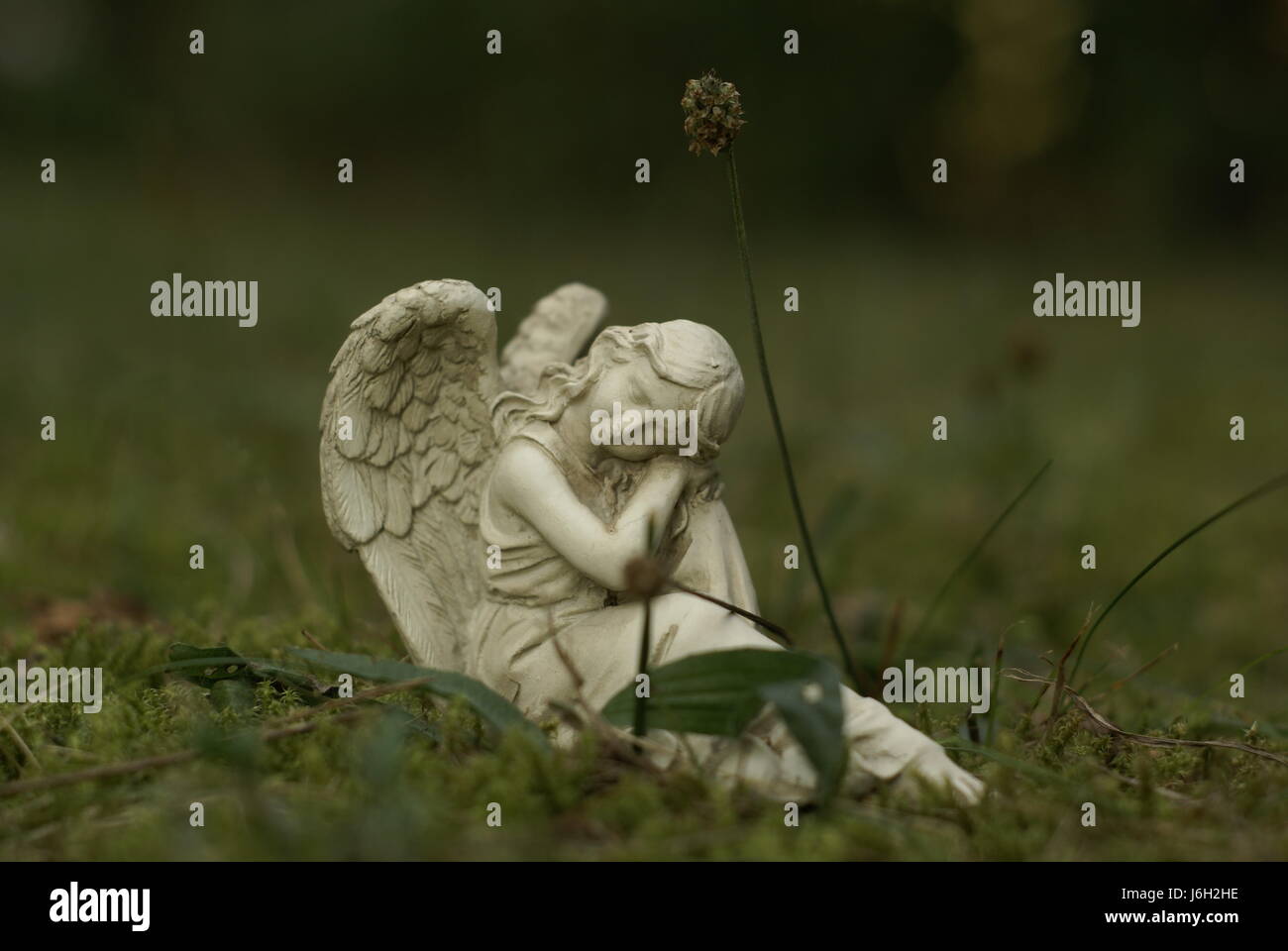 angel in the grass Stock Photo - Alamy