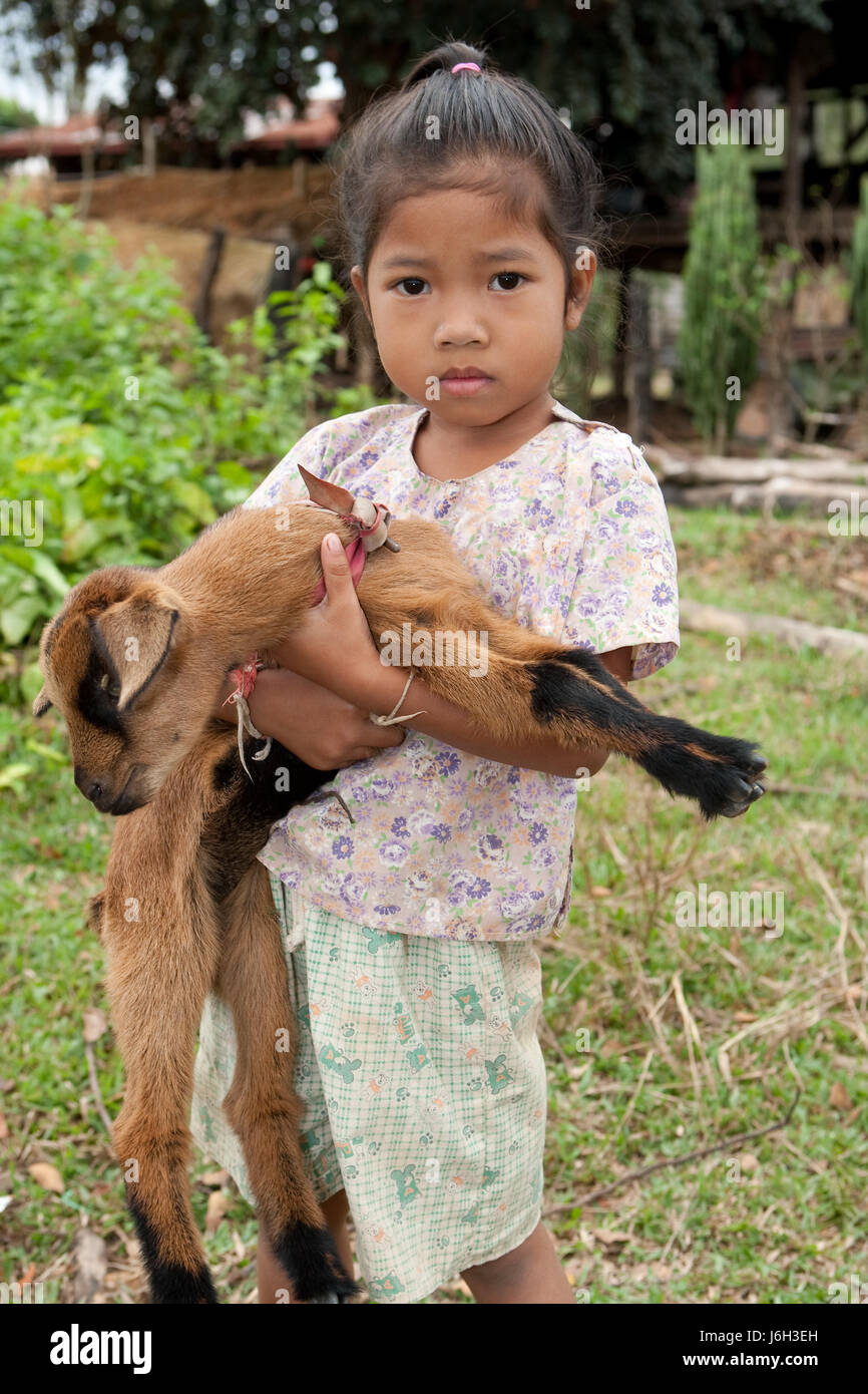 asian girl with goat Stock Photo - Alamy