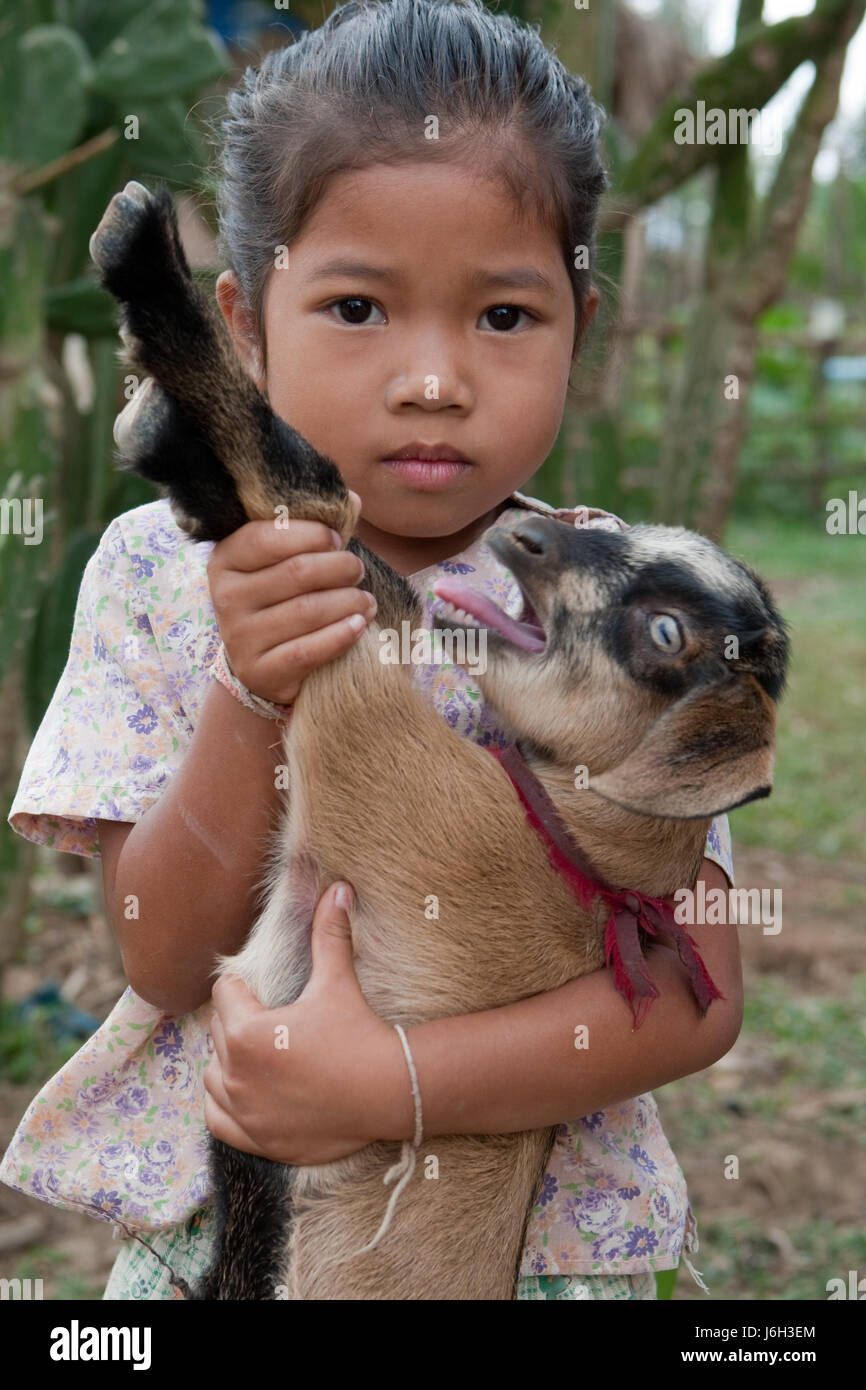 animal asia goat love of animals fawn child girl girls animal asia ...