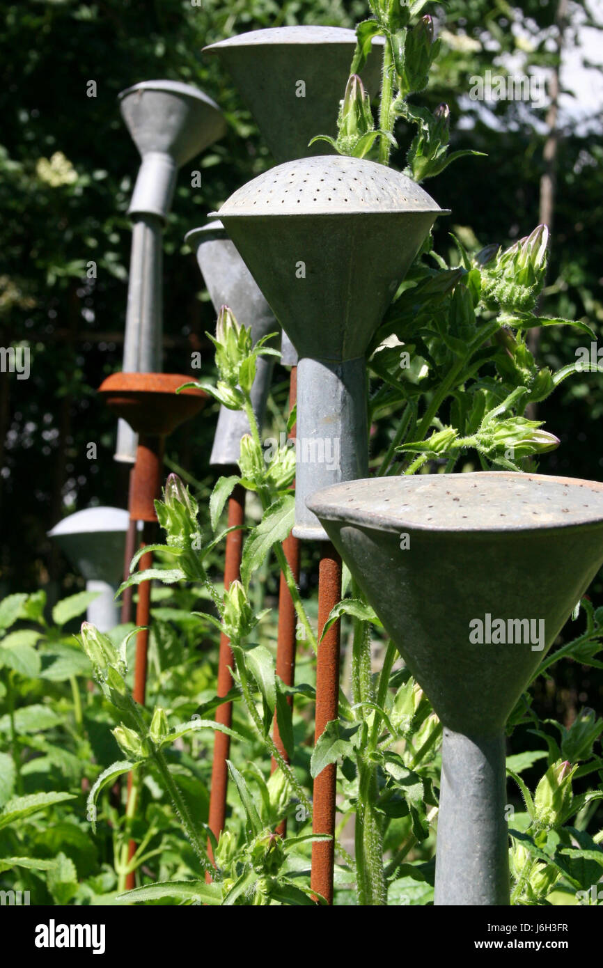 garden plant gardens watering-can cable glands nature object objects ...