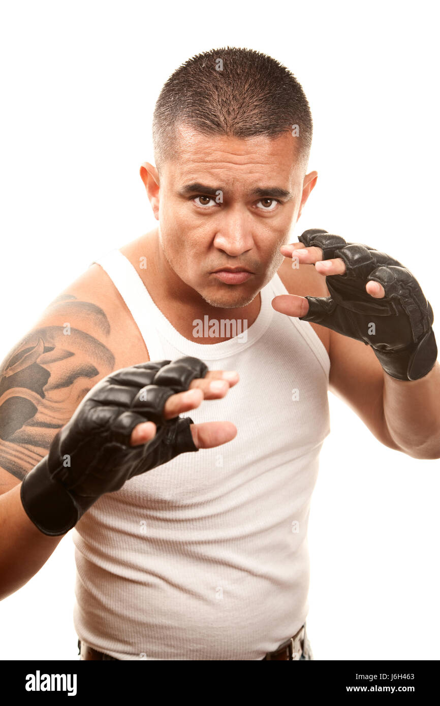 male masculine adult macho mexican adults hispanic boxing man isolated ...