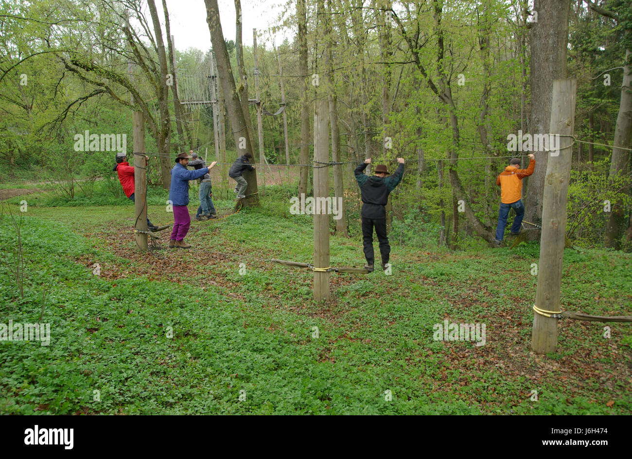 learn collaboration cooperation action interaction challenge to live to ...