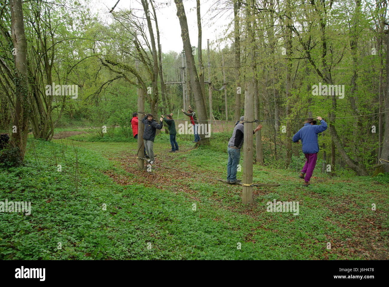 learn collaboration cooperation action interaction challenge to live to ...