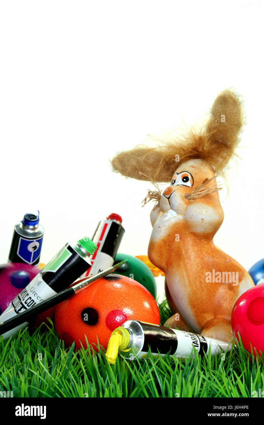 Baffled animal hi-res stock photography and images - Alamy