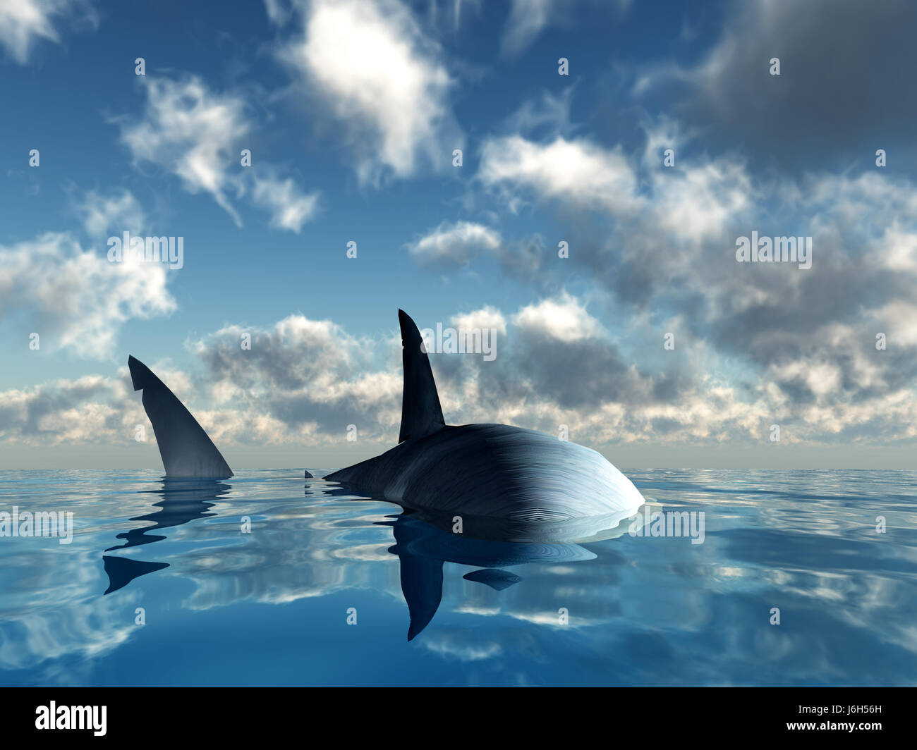 horizon animals pisces shark firmament sky salt water sea ocean water ...