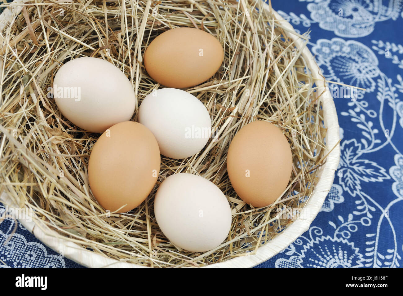 food aliment raw plain egg eggs many blue present food aliment ...