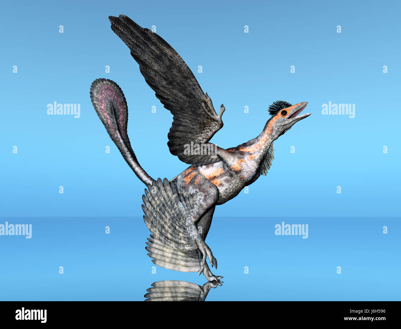 Microraptor dinosaur hi-res stock photography and images - Alamy