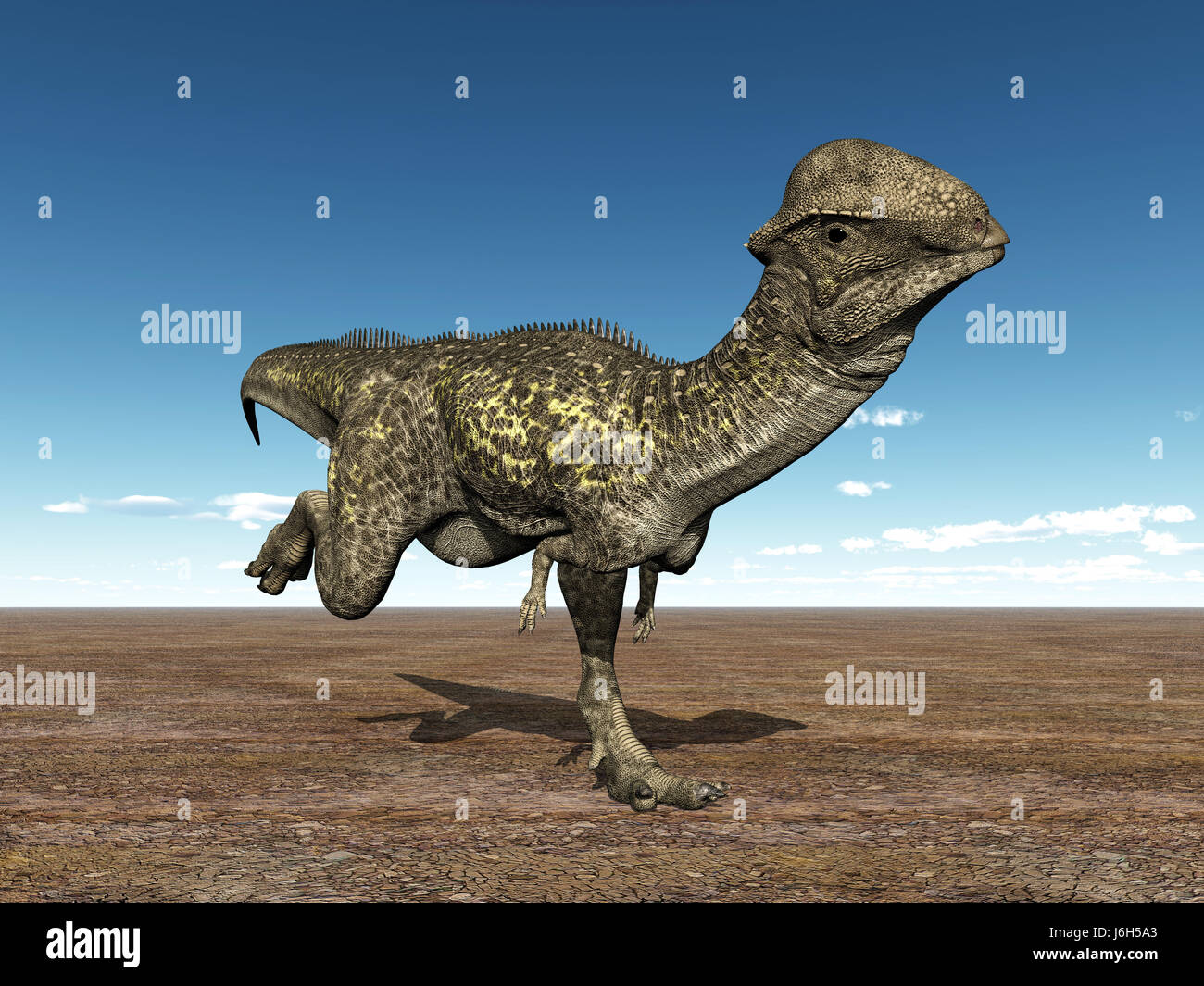 Stegoceras hi-res stock photography and images - Alamy