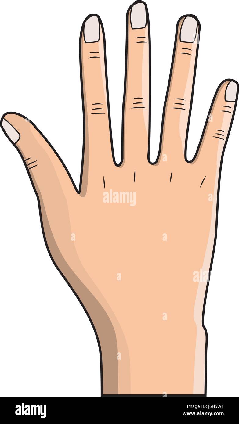 Man hands finger nails Stock Vector Images - Alamy
