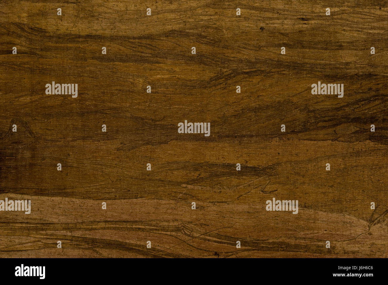 tree wood surface vein veneer structure backdrop background nature tree ...