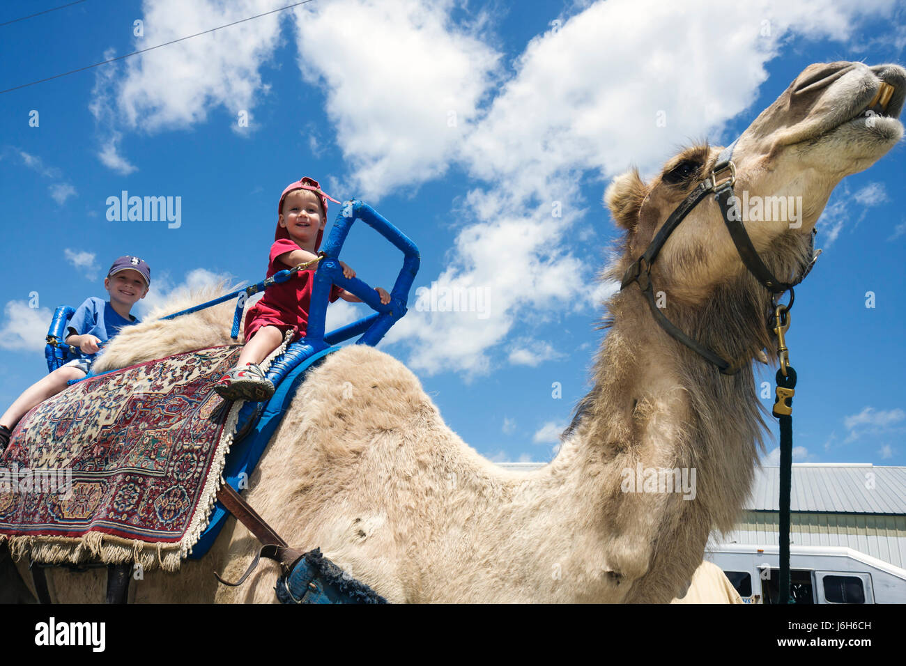 Children with camel hi-res stock photography and images - Alamy