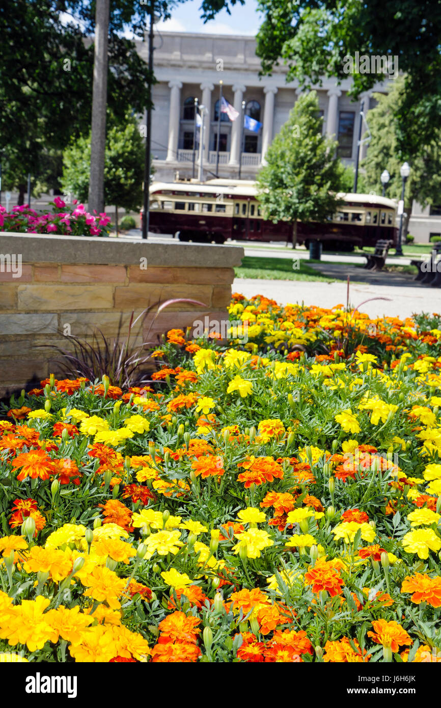 Center Of Flower Stock Photos & Center Of Flower Stock Images - Alamy