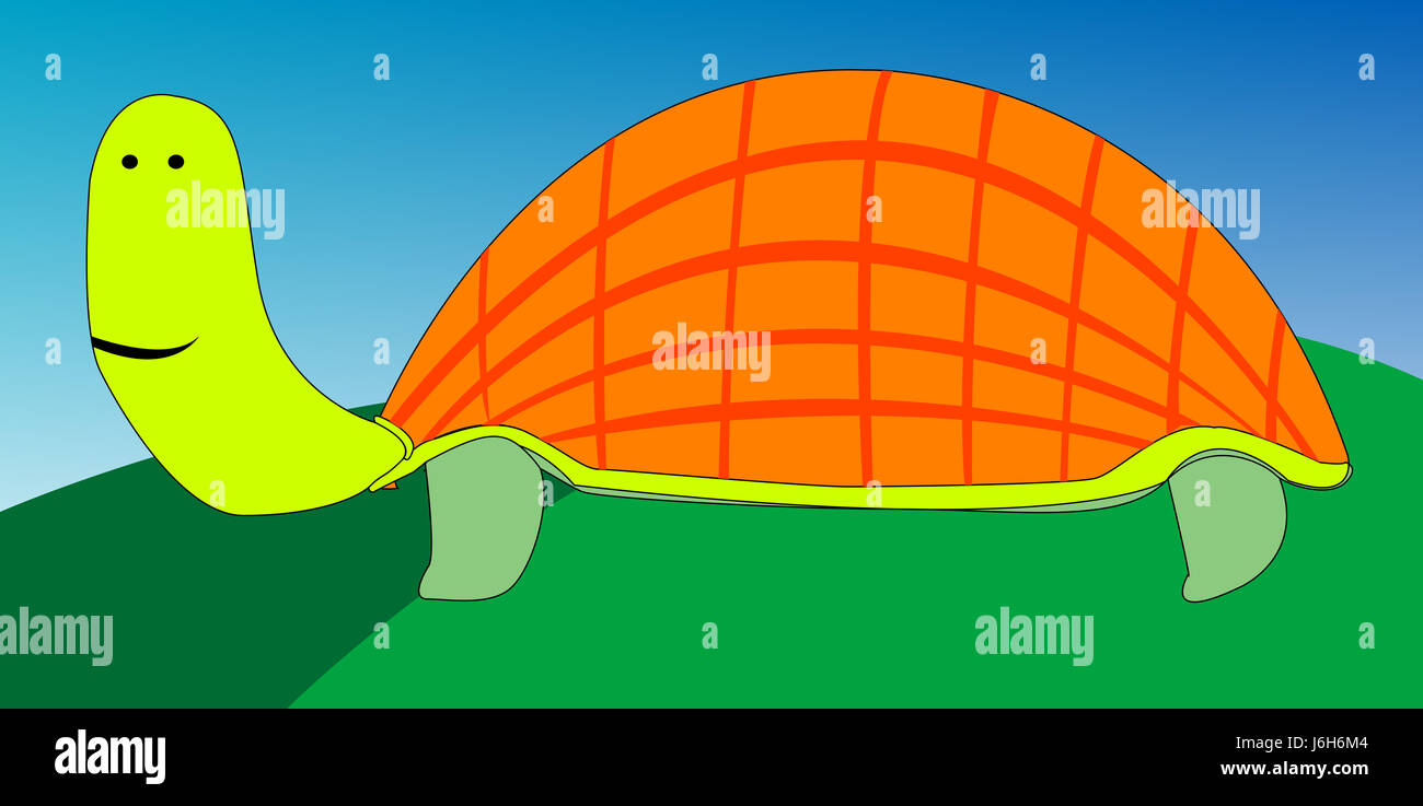 Turtle tortoise laugh laughs laughing hi-res stock photography and ...