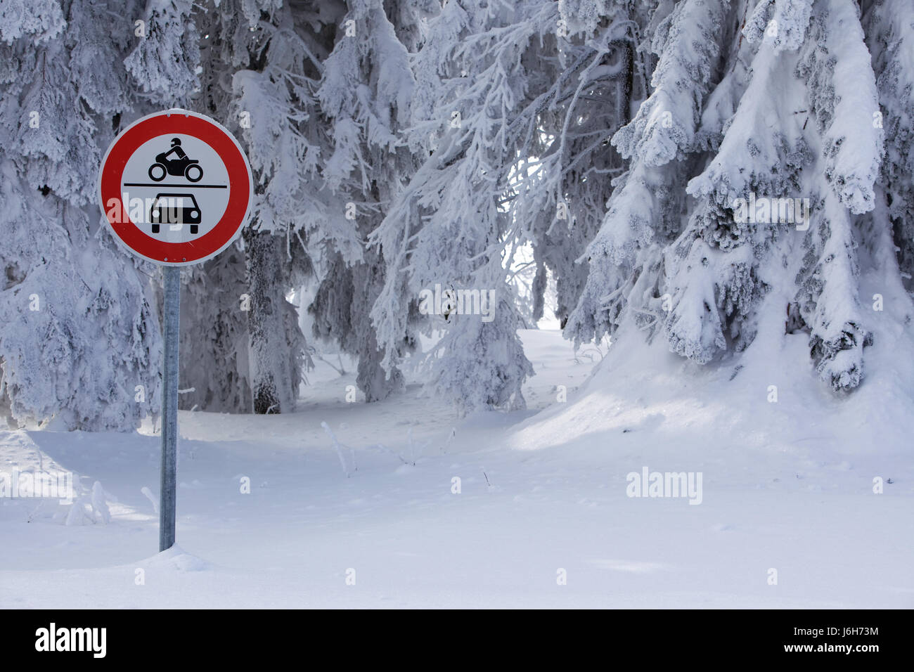sign signal winter prohibition sign illegal prohibited snow forest sign ...