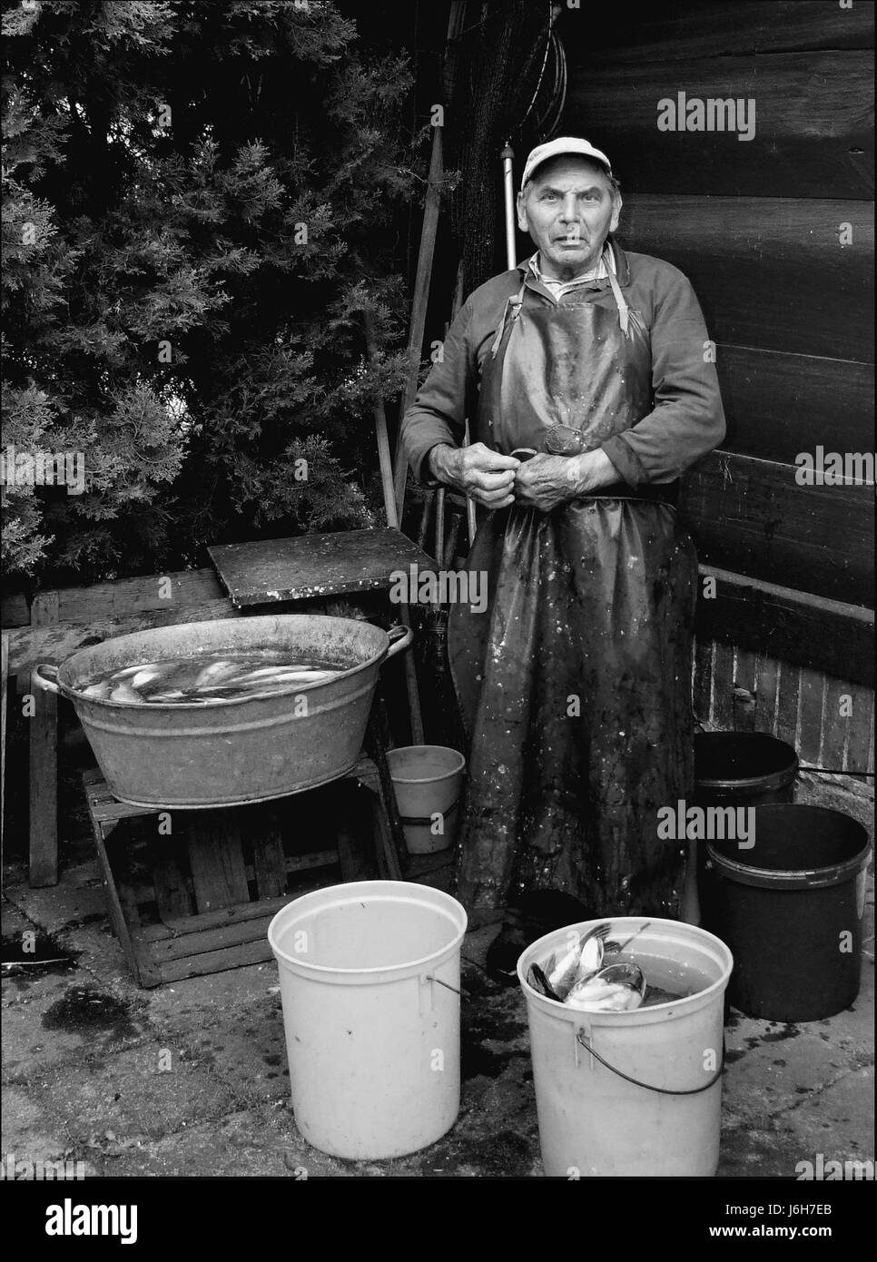 fischer max lehmann Stock Photo - Alamy