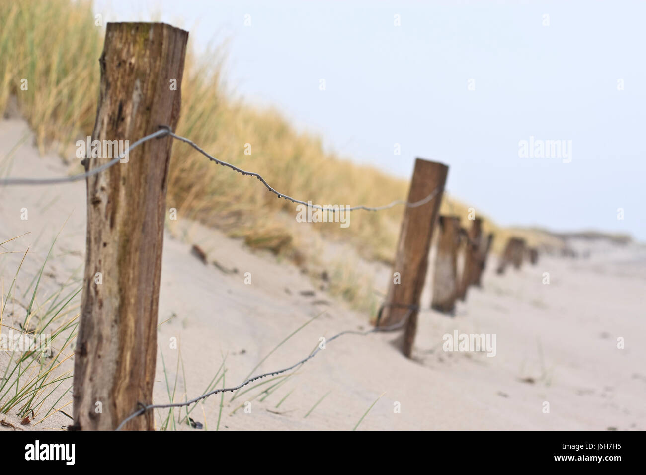 dune landscape in winter Stock Photo - Alamy