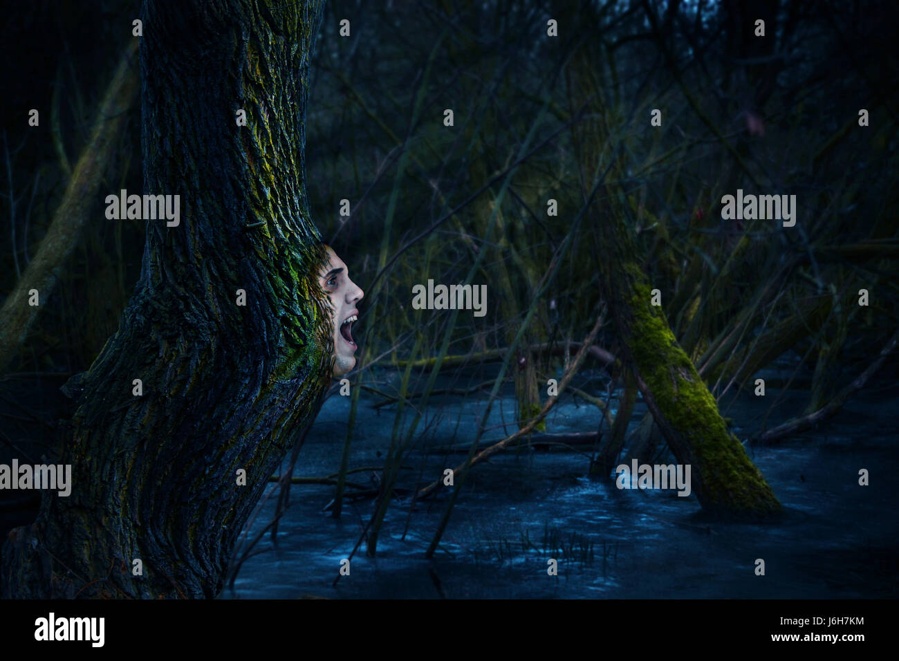 tree face creepy mystic cry water nature tree face pain creepy mystic ...