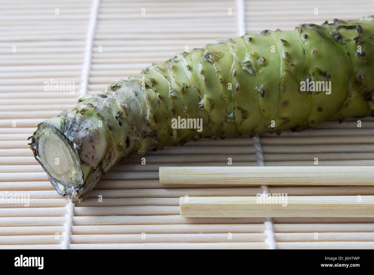 spice root true japanese japan fresh spice horizontal root true stick ...