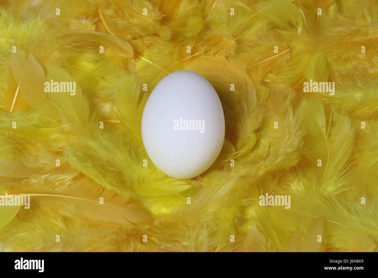 easter feathers easter egg egg eggs feather macro close-up macro ...