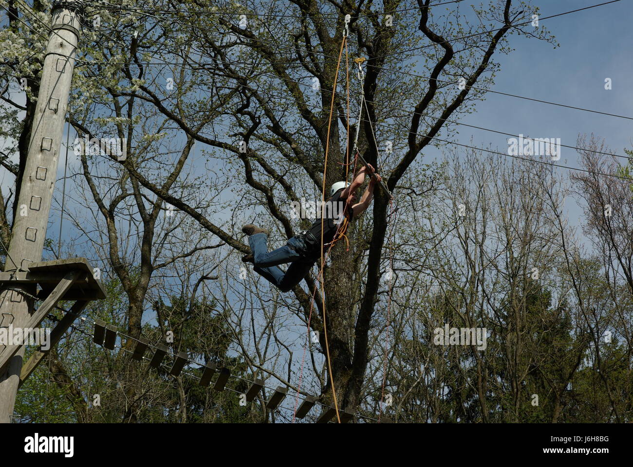 courageous spring bouncing bounces hop skipping frisks jumping jump ...