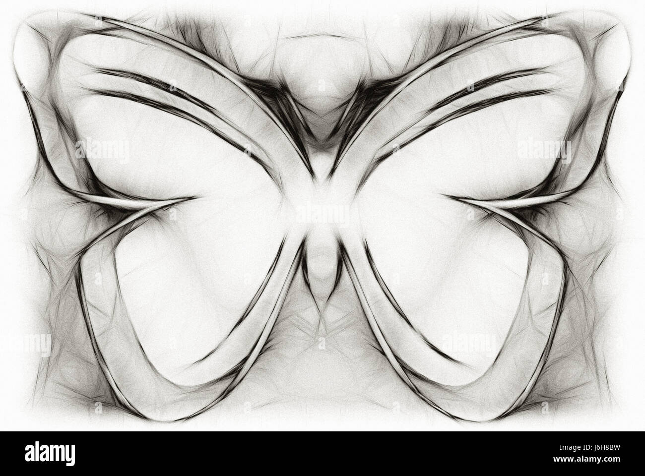 insect butterfly bw illustration backdrop background insect butterfly ...