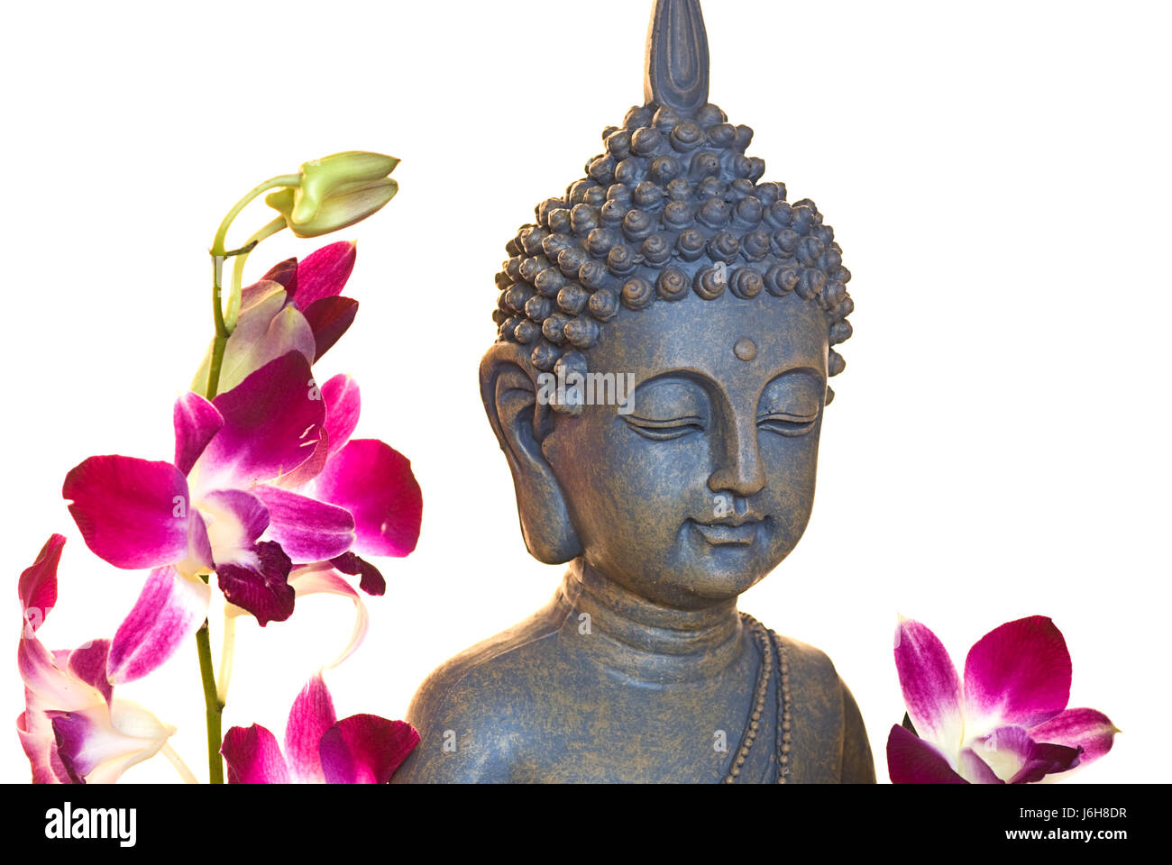 flower plant statue asia buddha orchid buddhism pictogram symbol ...