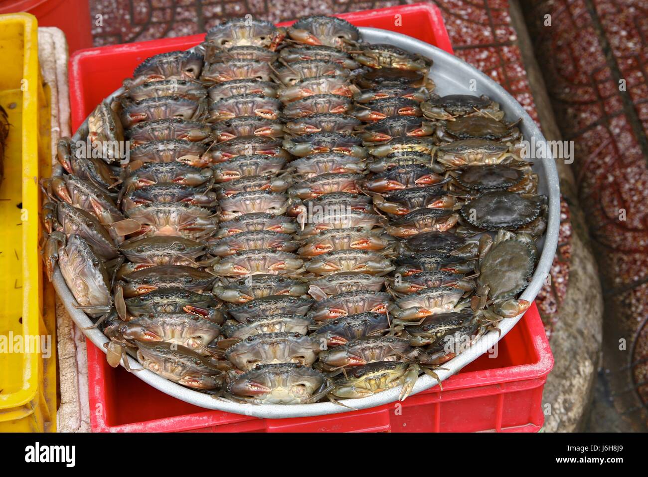 shellfish on the market Stock Photo - Alamy