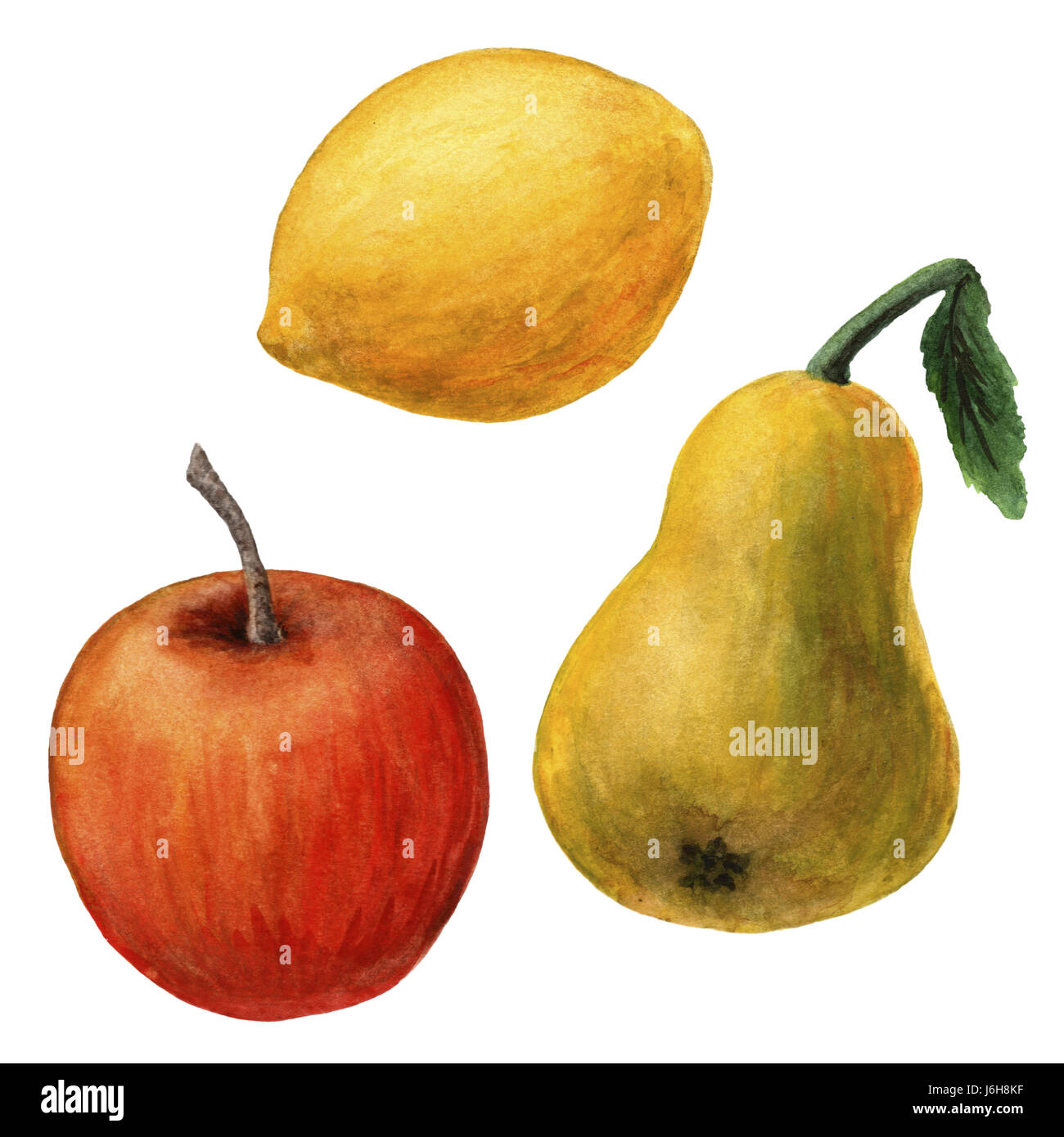 graphic illustration fruit apples apple drawing photo picture image ...