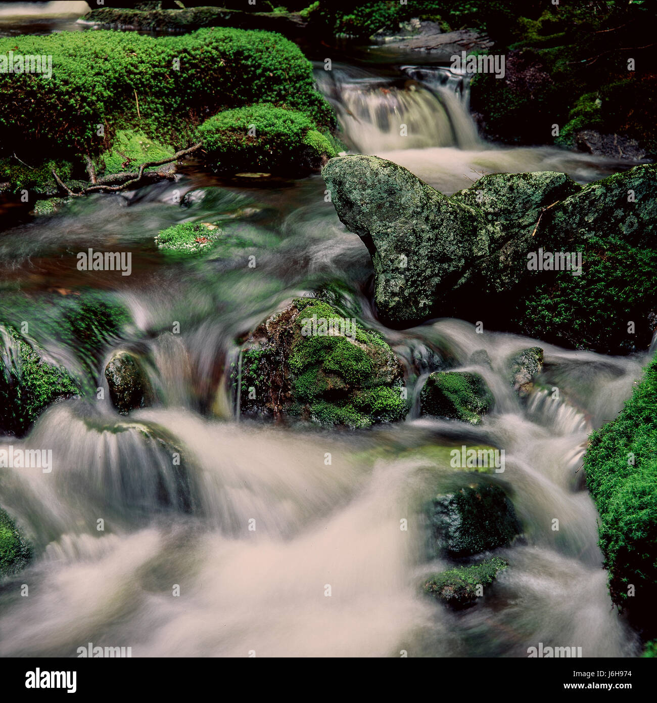 Brook trail hi-res stock photography and images - Alamy