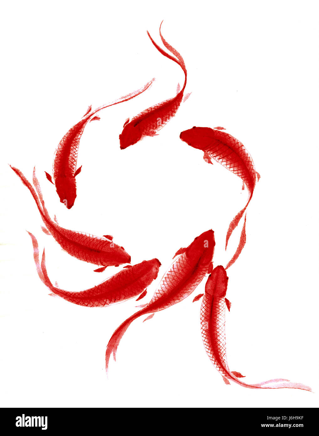 Traditional chinese painting koi carp hi-res stock photography and ...