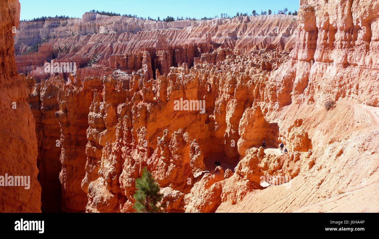 national park usa ravine Canyon scenery countryside nature mountains ...